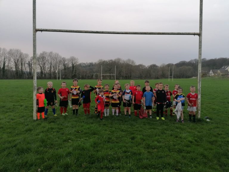 Mini and Junior Rugby Update – CARMARTHEN QUINS : Official Website